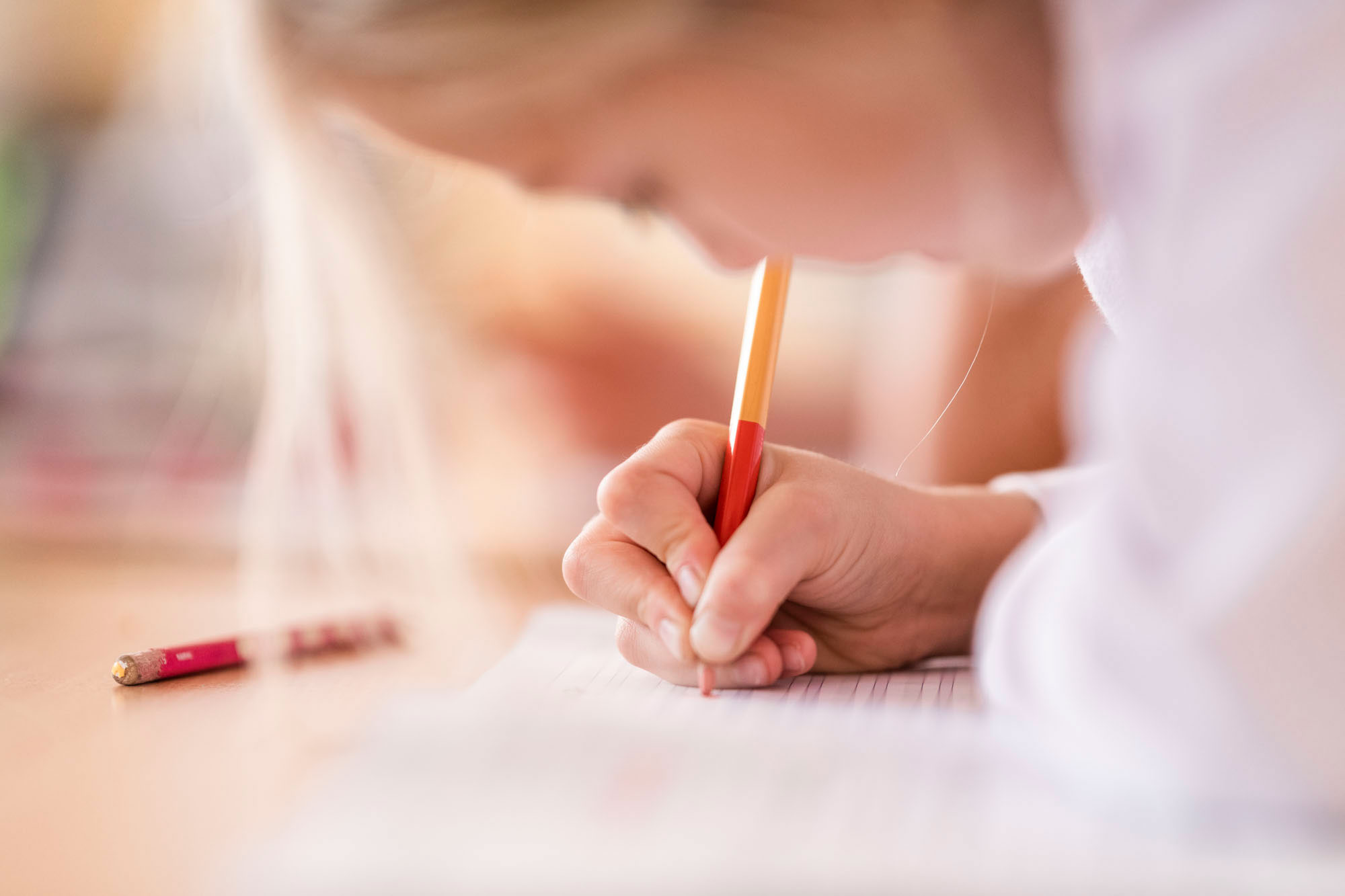 Klassenfotos • Volksschule Ligist